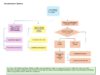 During the OSSLT - User Guide for the Administration of the Ontario ...